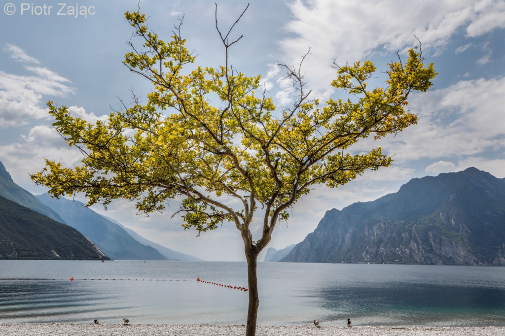 Garda Lake | JAMES BOND